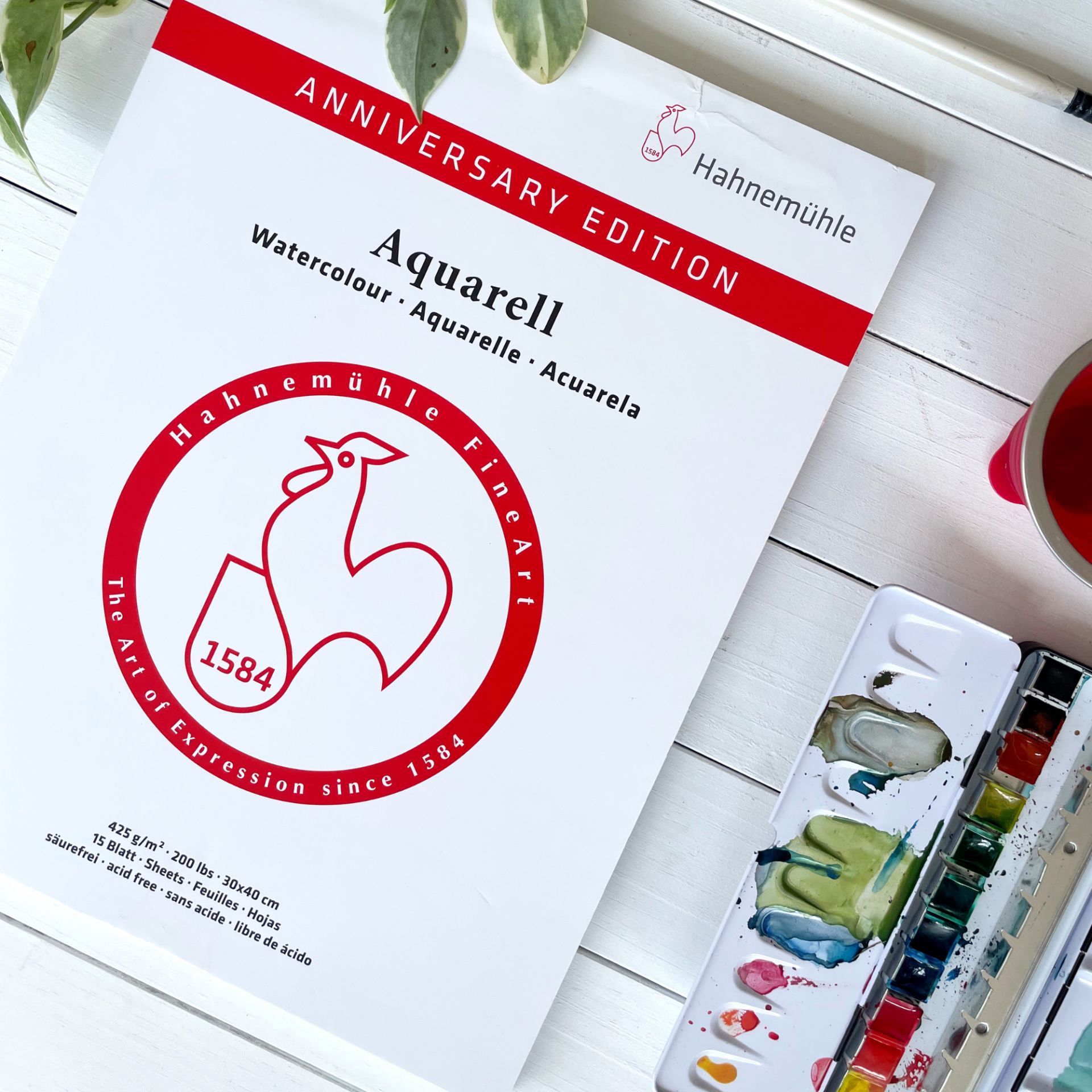 Anniversary Edition High Quality Watercolour Paper | Hahnemuhle