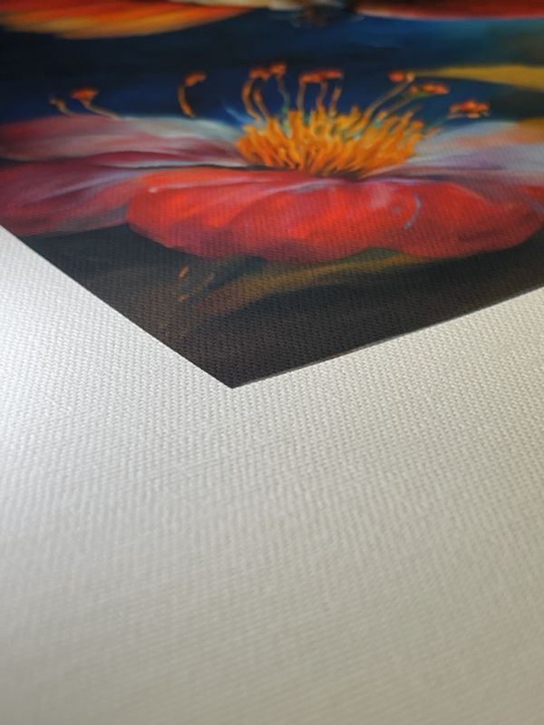 Hahnemühle - Canvas Fine Art | Online Shop